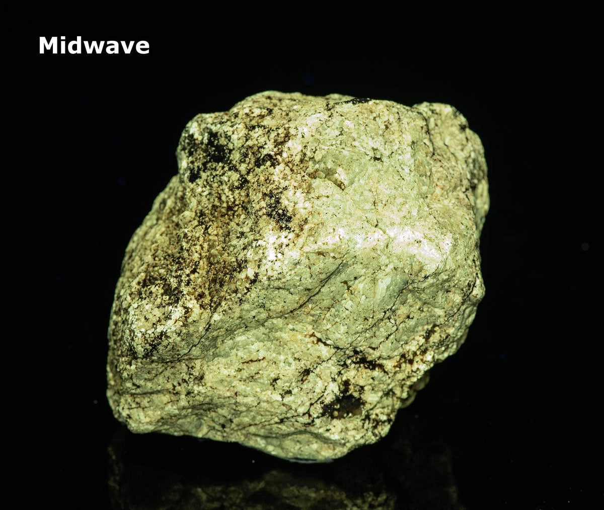 Fluorescent Scheelite from Nevada | MinerShop