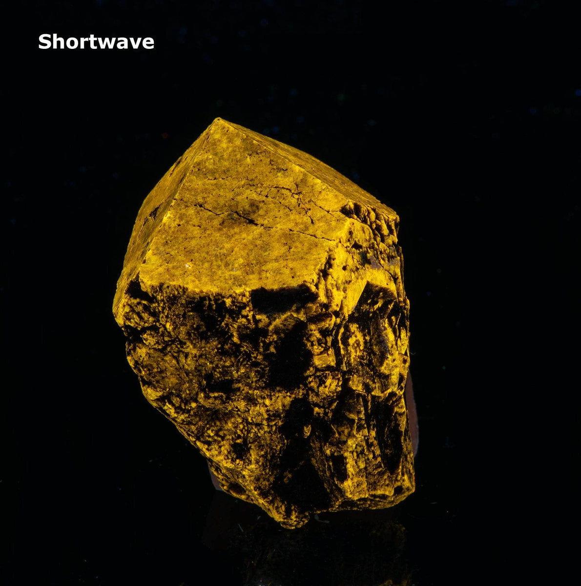 A large fluorescent zircon crystal displaying a bright yellow ...