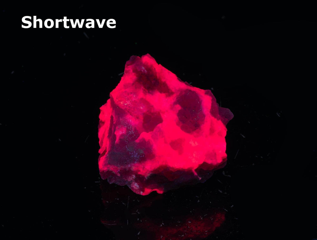 A classic piece of bright red fluorescent tugtupite – MinerShop