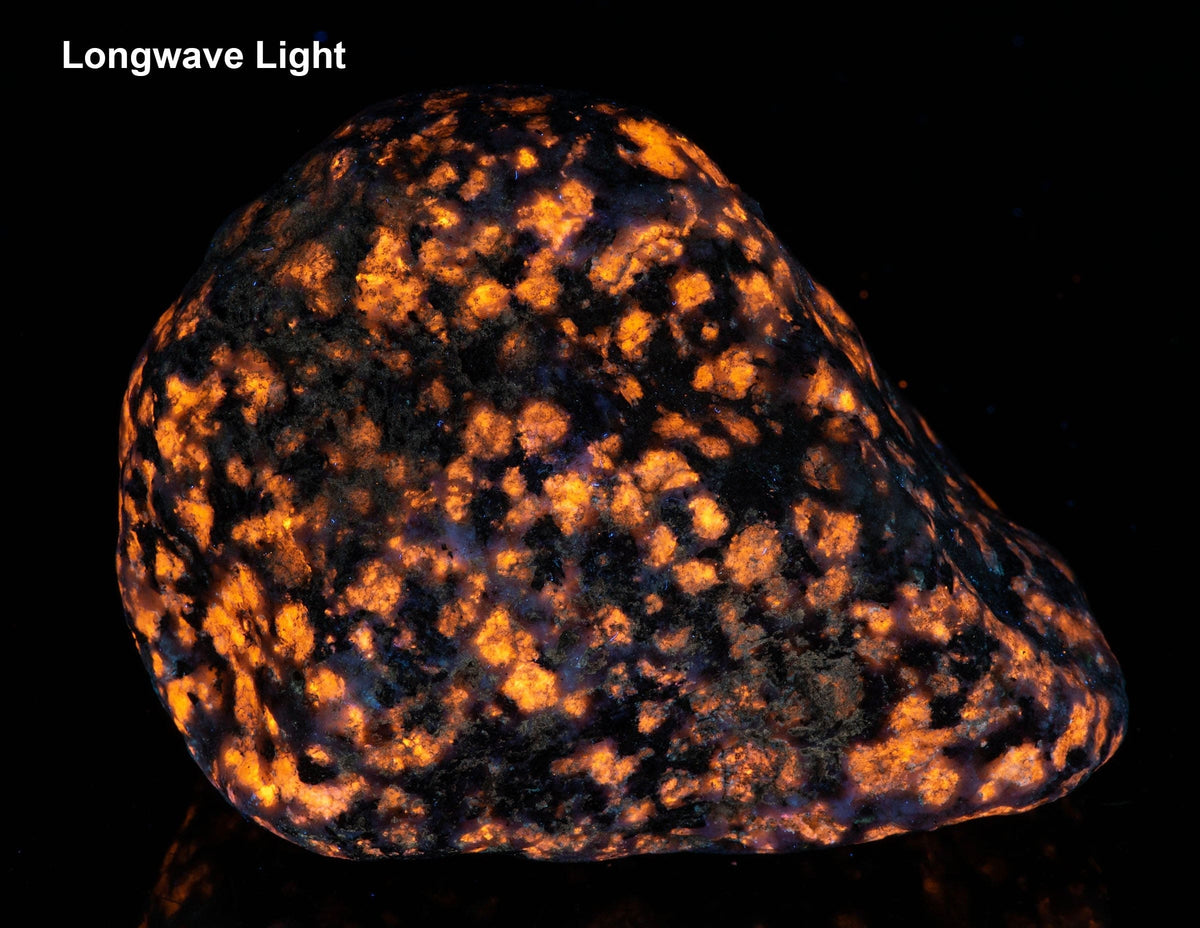 Sodalite (Yooperlite Rock) from Greenland – MinerShop