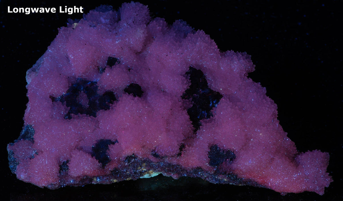 A mineral specimen of white calcite crystals and pyrite under UV light ...