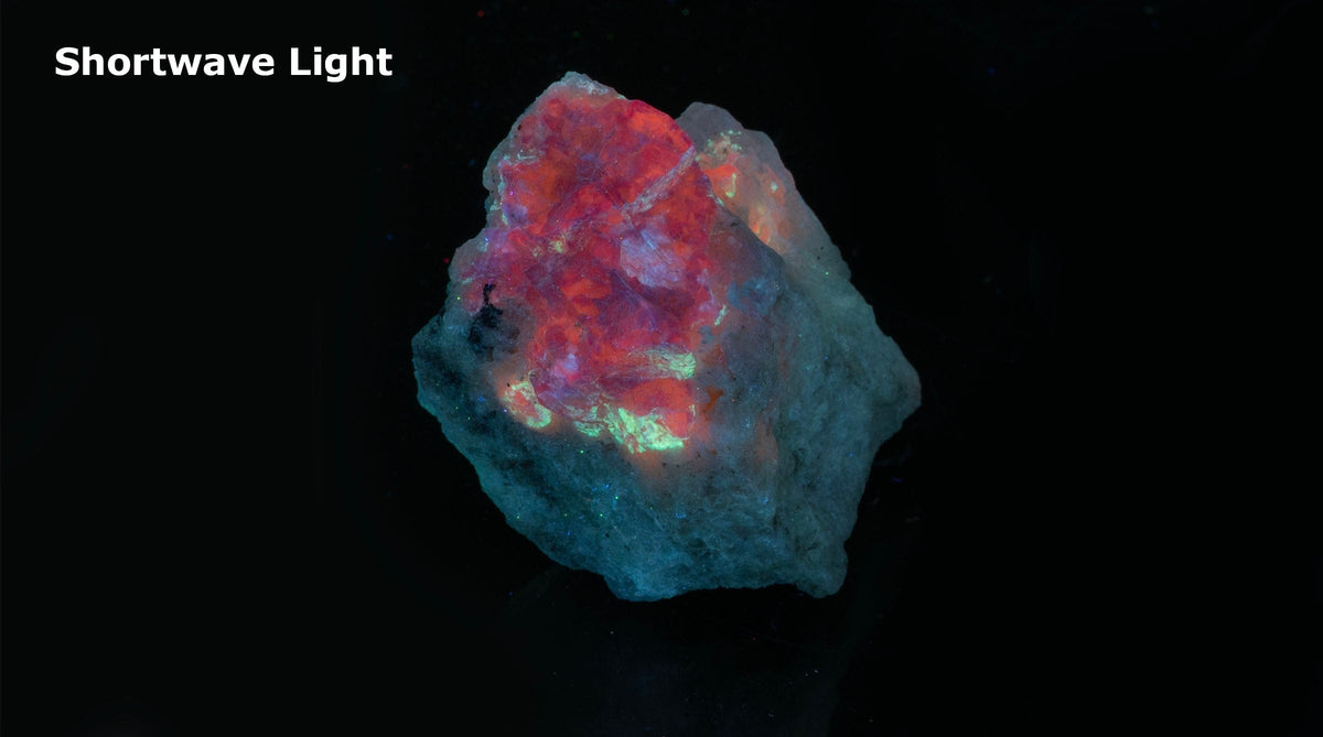 Tenebrescent Red Sodalite (Hackmanite) from Greenland | MinerShop